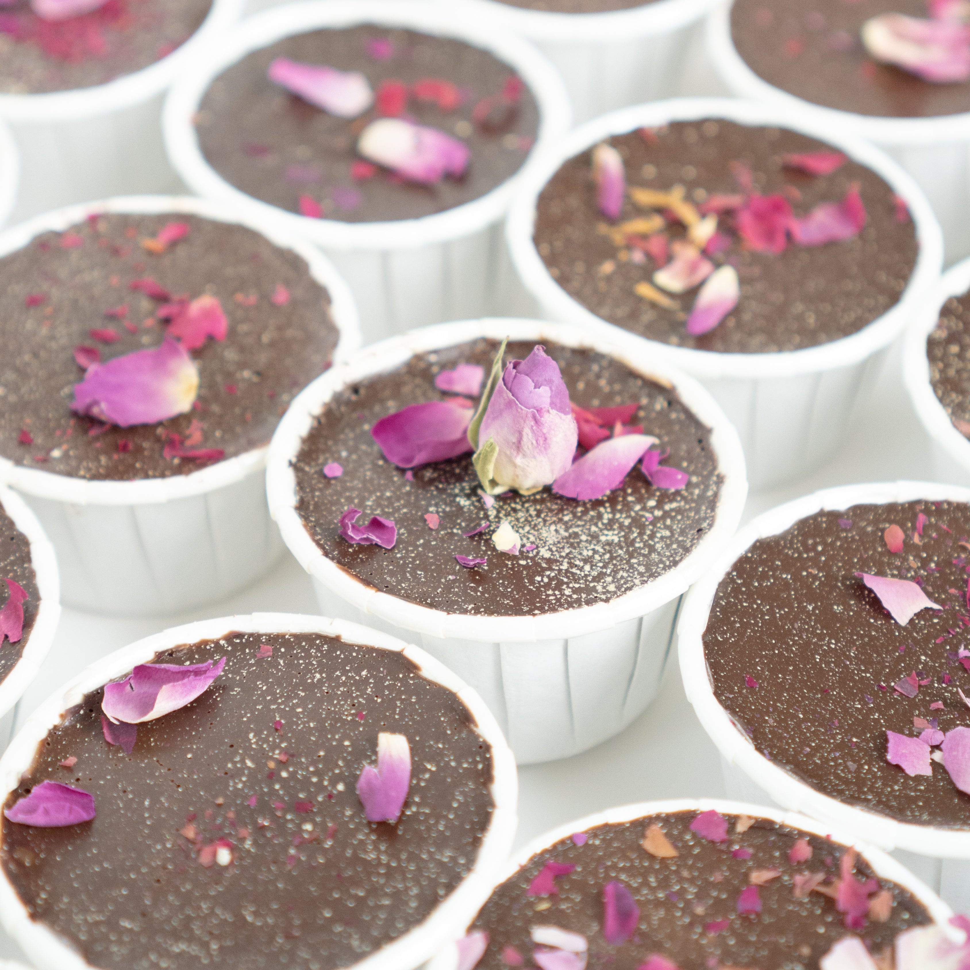 MIDNIGHT™ PETIT CLASSIQUE DARK CHOCOLATE CUPCAKES – RÓA